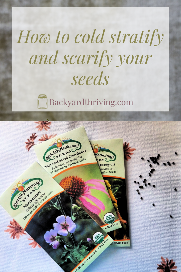 Cold Seed Stratification and Scarification - backyardthriving.com